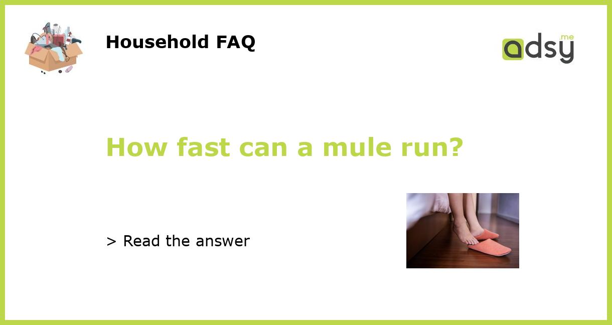 How fast can a mule run?