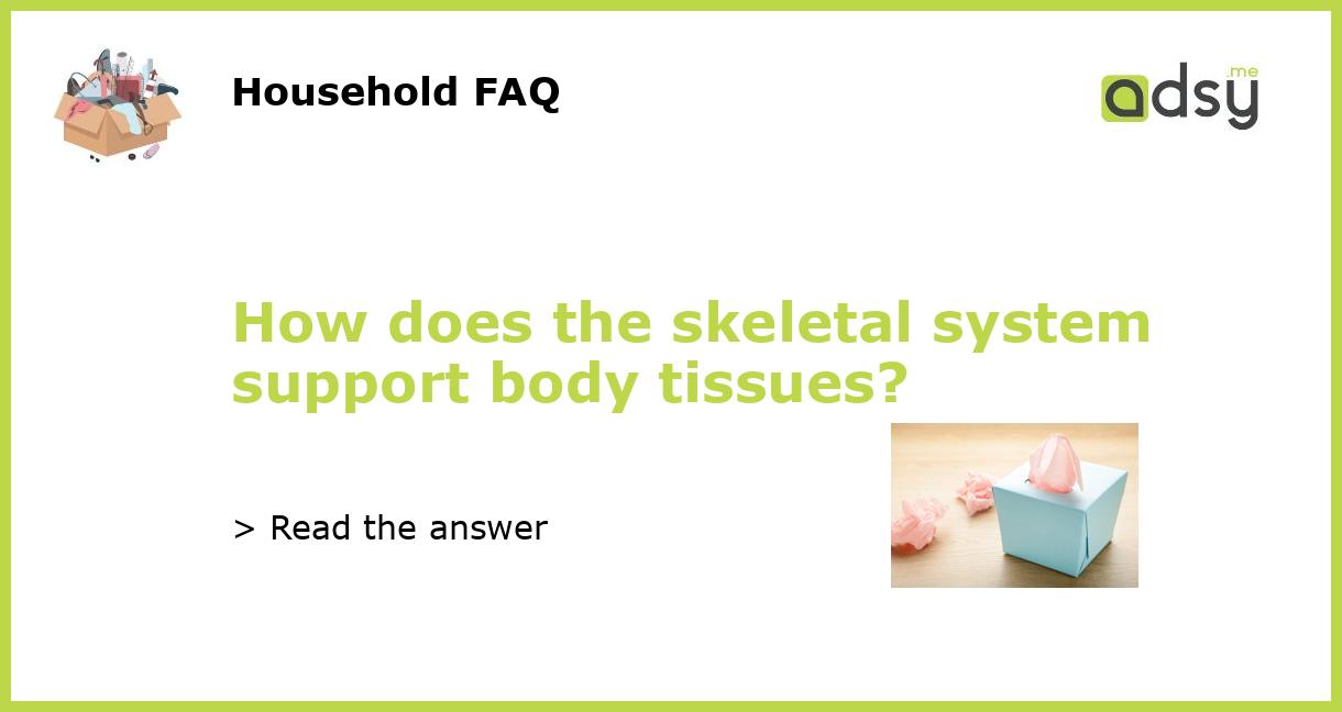 How does the skeletal system support body tissues?